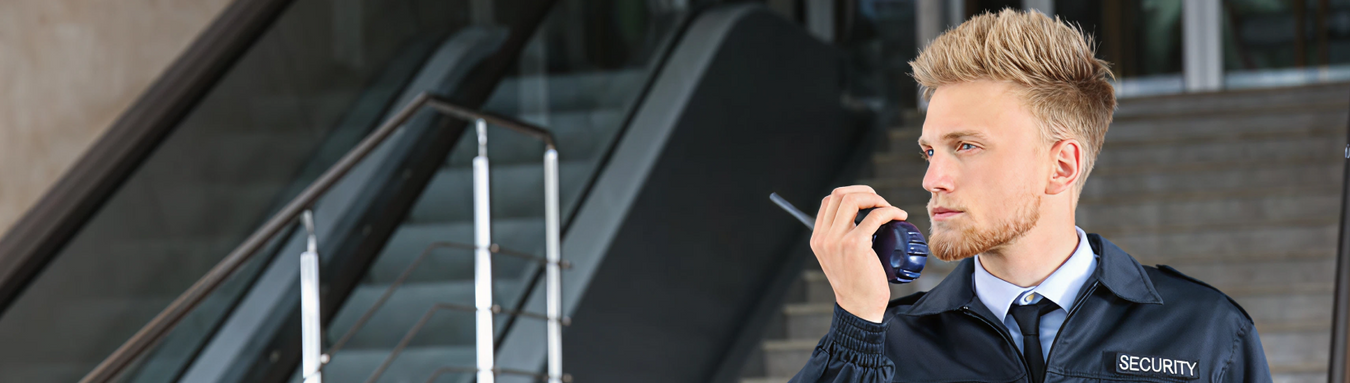 ICSE - Security Excellence | Online Security Training Ireland ...